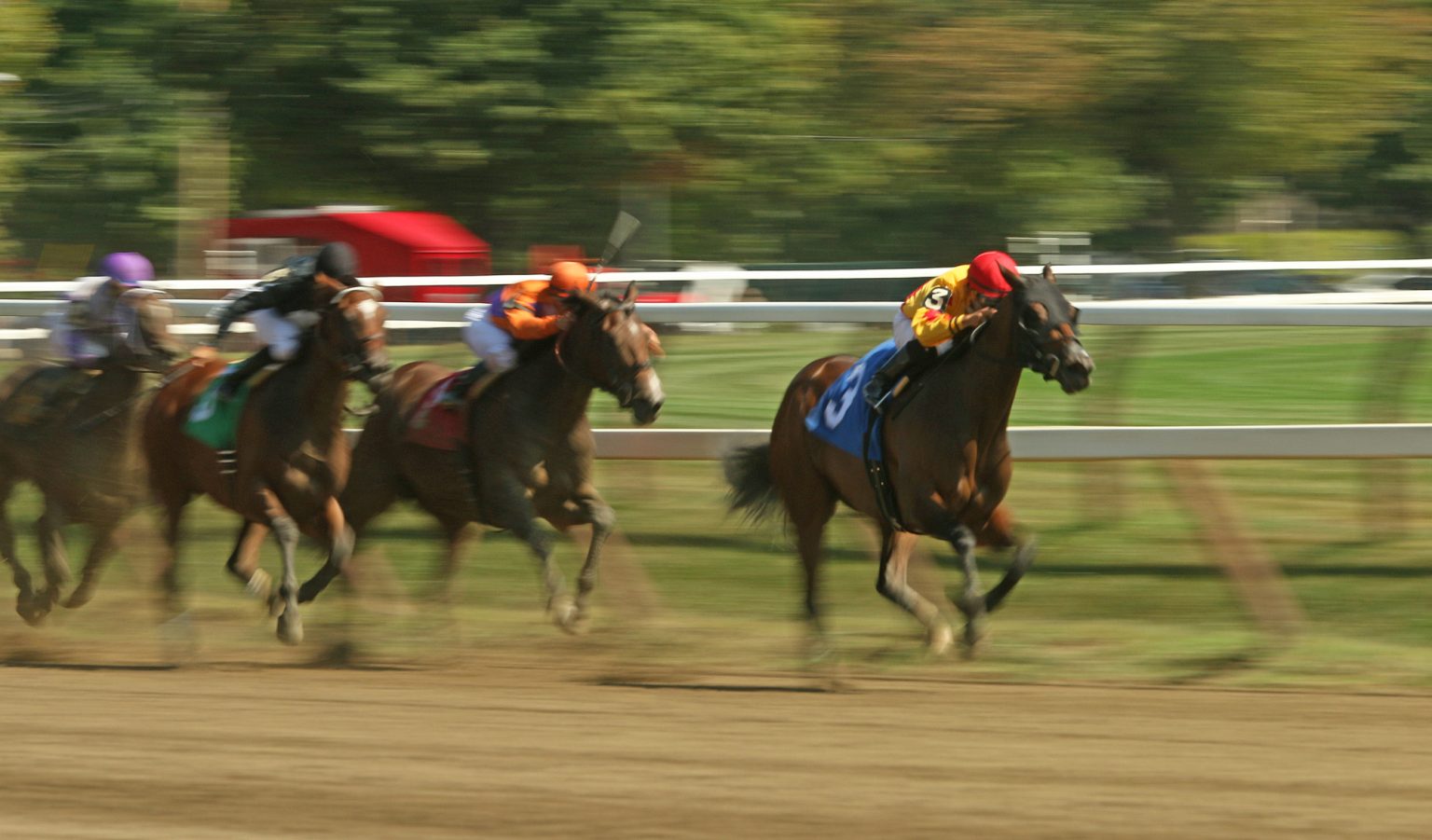 Smartest Bet in Horse Racing Revealed - Daily Double Wager